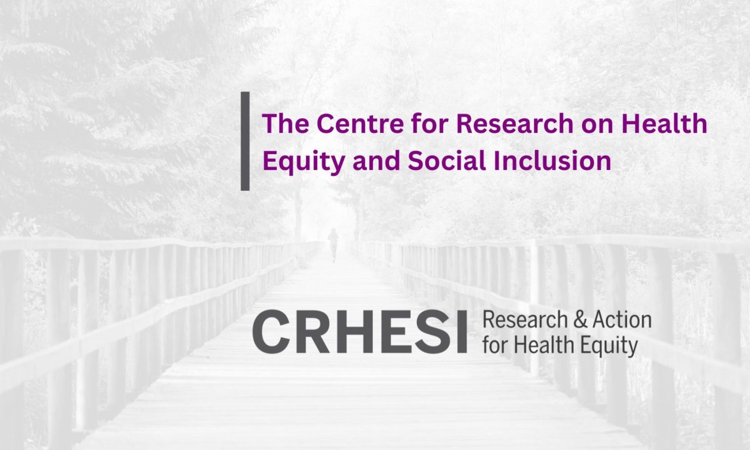 Webinar Series: Supporting Equity-Oriented Health Care Responses to ...
